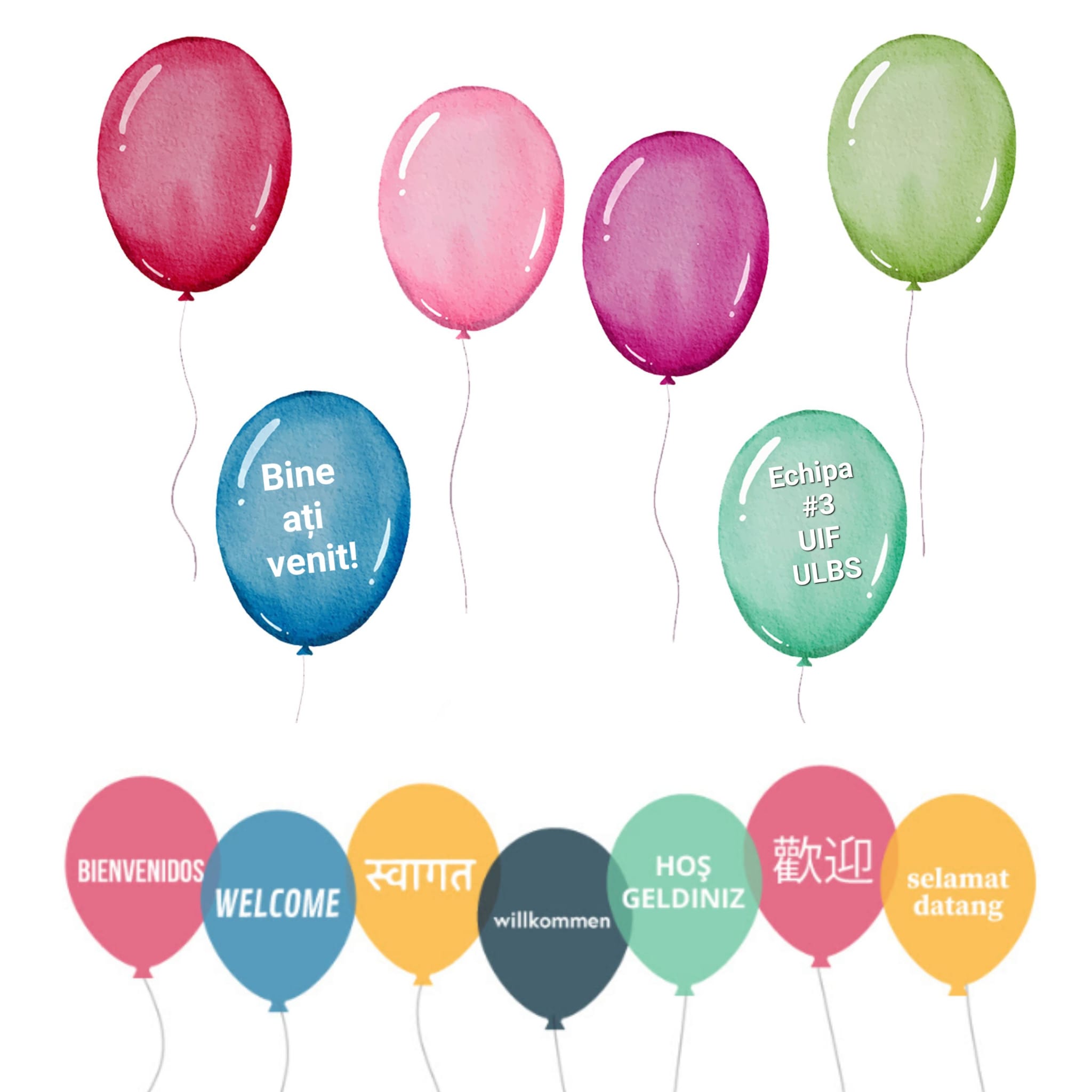 A treia echipă de studenți ai ULBS admiși în programul University ...